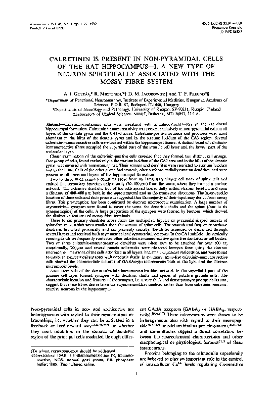(PDF) Calretinin is present in non-pyramidal cells of the rat ...