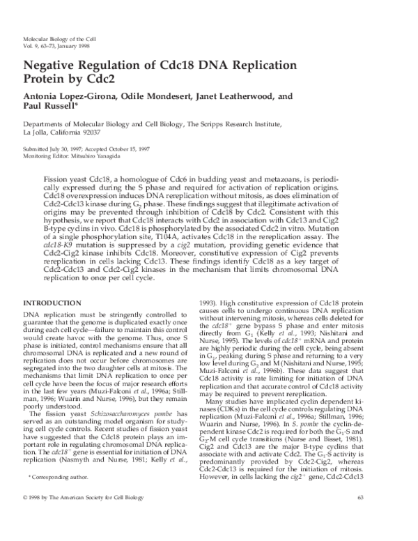(PDF) Negative regulation of Cdc18 DNA replication protein by Cdc2