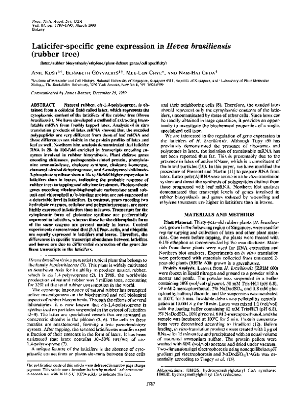 (PDF) Laticifer-Specific Gene Expression in Hevea Brasiliensis (Rubber ...