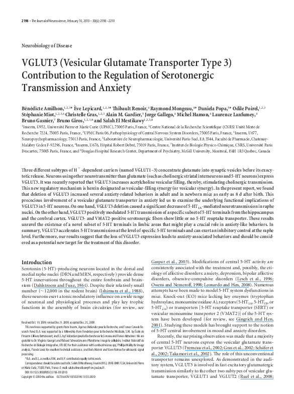 (PDF) VGLUT3 (Vesicular Glutamate Transporter Type 3) Contribution to ...