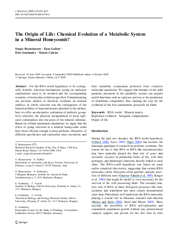 (PDF) The Origin of Life: Chemical Evolution of a Metabolic System in a ...
