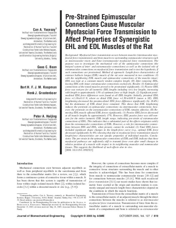 (PDF) Pre-Strained Epimuscular Connections Cause Muscular Myofascial ...