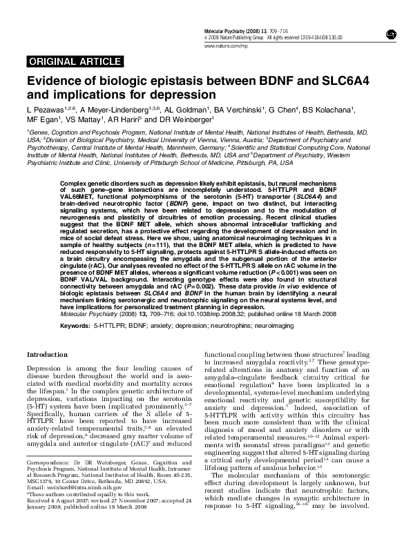 (PDF) Epistasis of BDNF and SLC6A4 impact Brain Structure in Depression