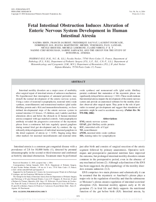(PDF) The use of rapid assessment of enteric ICC and neuronal ...