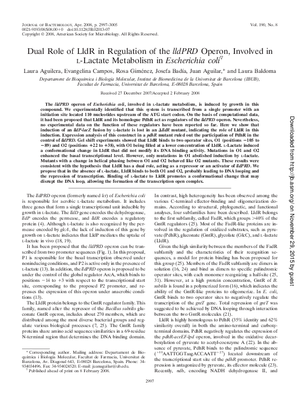 (PDF) Dual Role of LldR in Regulation of the lldPRD Operon, Involved in ...