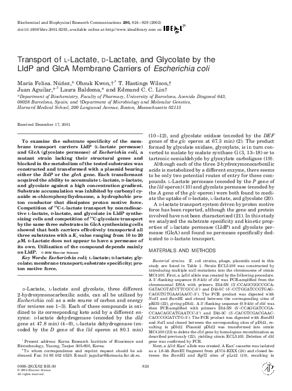 (PDF) Transport of -Lactate, -Lactate, and Glycolate by the LldP and ...