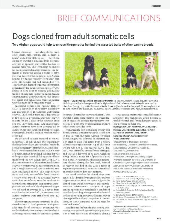 (PDF) Dogs cloned from adult somatic cells