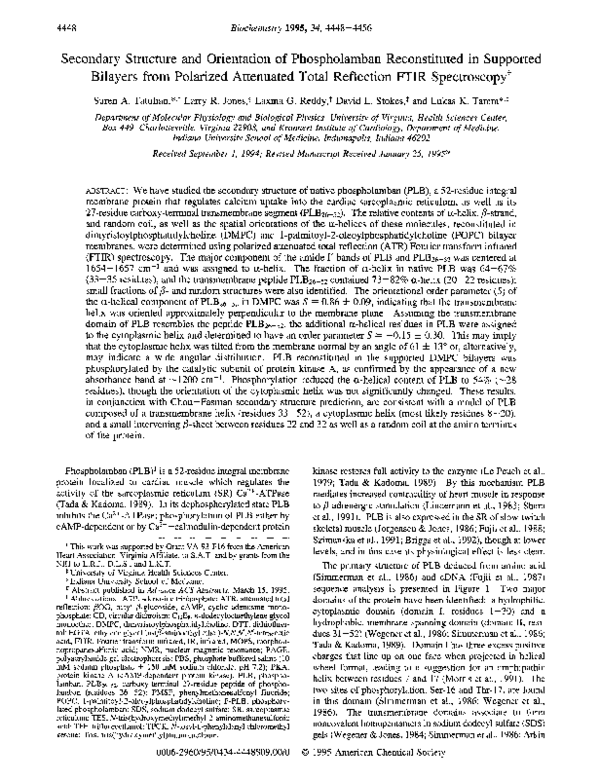 (PDF) Secondary Structure and Orientation of Phospholamban ...