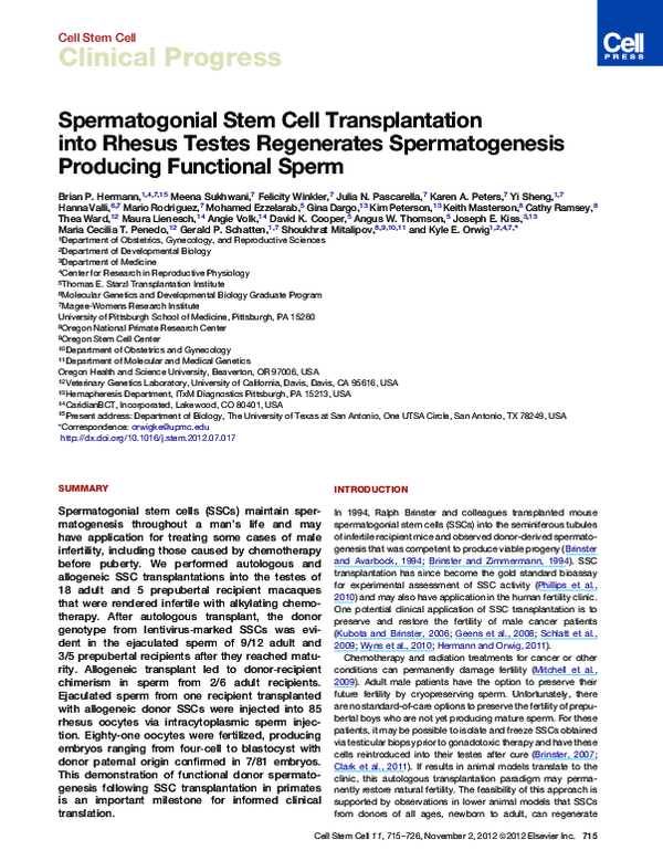 (PDF) Spermatogonial stem cell transplantation into rhesus testes ...