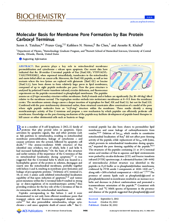 (PDF) Molecular Basis for Membrane Pore Formation by Bax Protein ...
