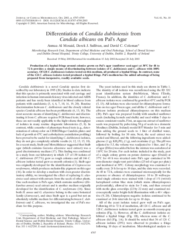 (PDF) Differentiation of Candida dubliniensis from Candida albicans on Pal's Agar
