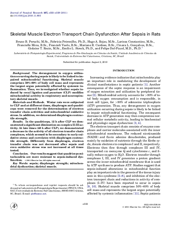 (PDF) Skeletal muscle electron transport chain dysfunction after sepsis ...