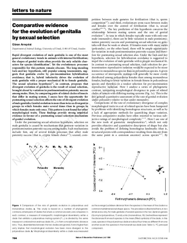 (PDF) Comparative evidence for the evolution of genitalia by sexual ...