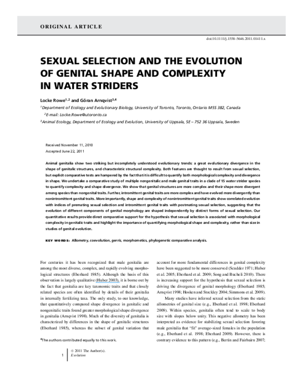 Pdf Sexual Selection And The Evolution Of Genital Shape And Complexity In Water Striders