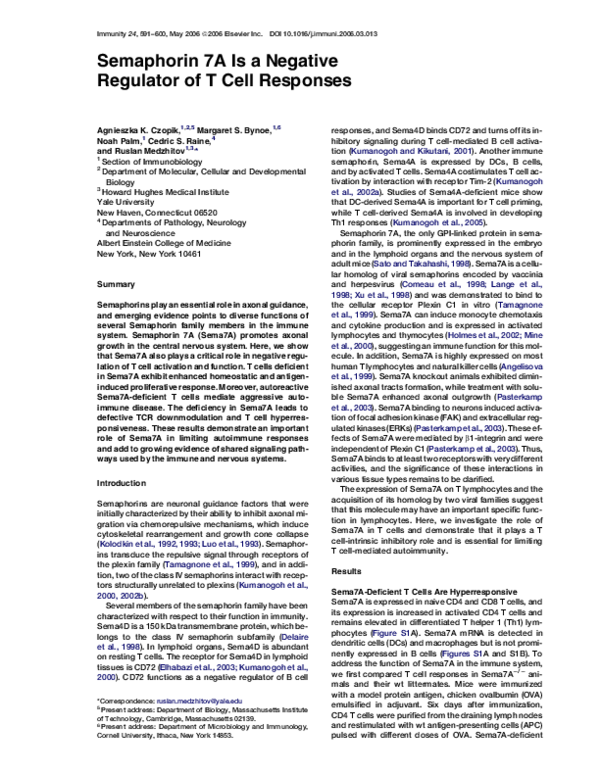 (PDF) Semaphorin 7A Is a Negative Regulator of T Cell Responses