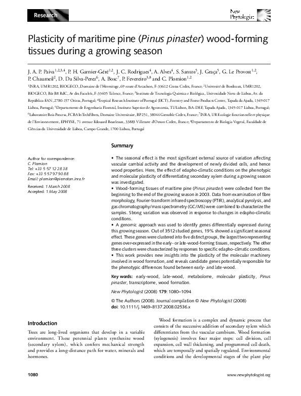 (PDF) Plasticity of maritime pine ( Pinus pinaster ) wood-forming ...