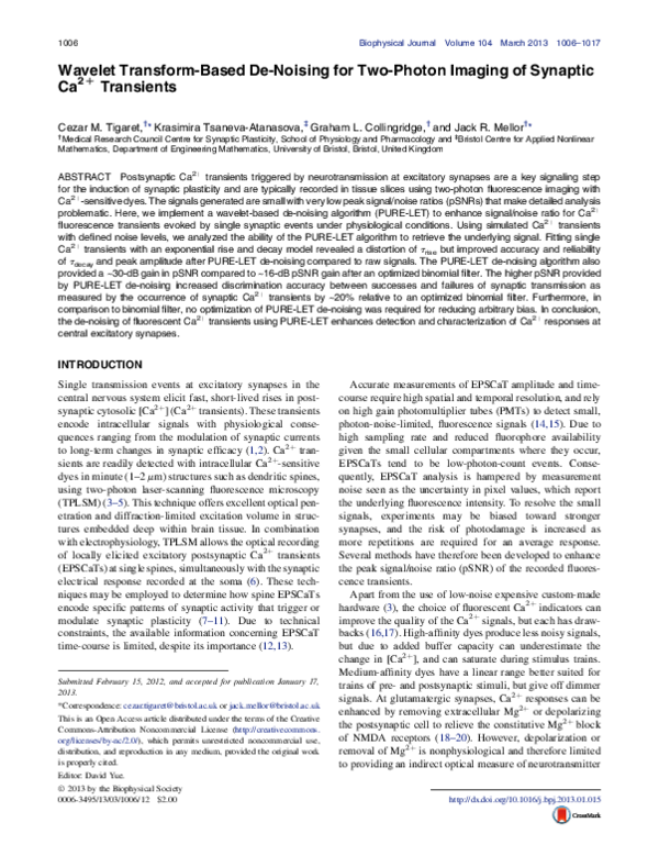 (PDF) Wavelet Transform-Based De-Noising for Two-Photon Imaging of Synaptic Ca2+ Transients