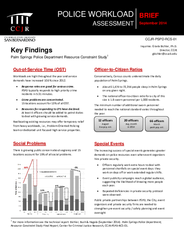 (PDF) Police Workload Assessment