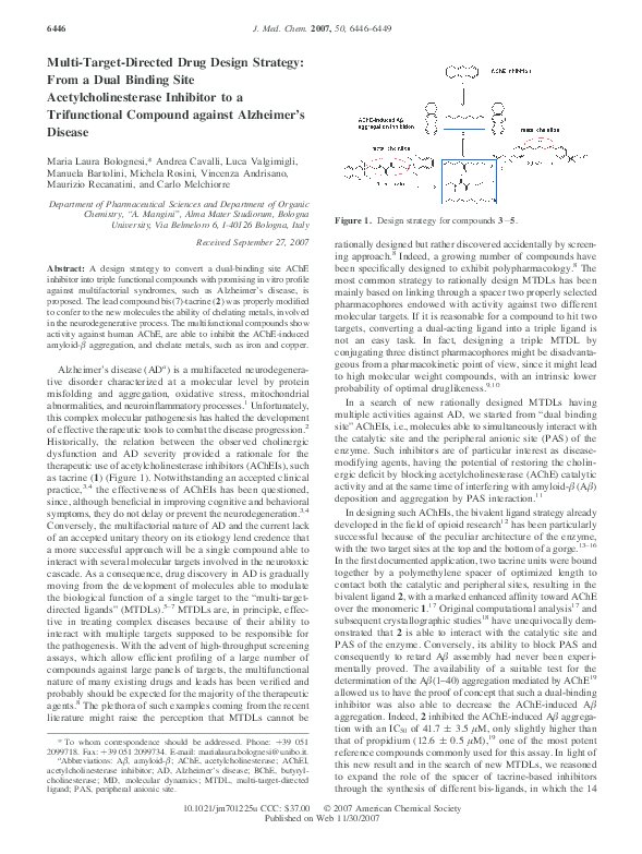 (PDF) Multi-Target-Directed Drug Design Strategy: From a Dual Binding ...