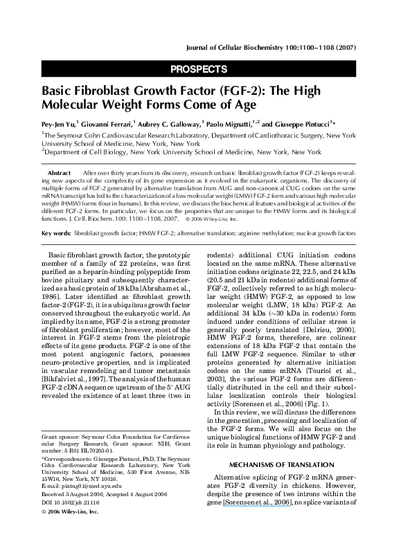 (PDF) Basic fibroblast growth factor (FGF-2): The high molecular weight ...