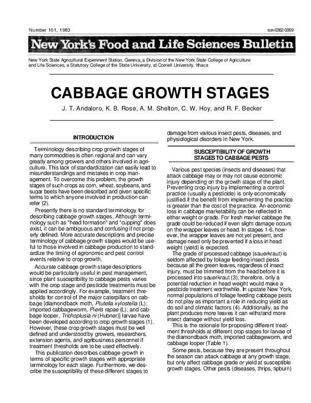 (PDF) Cabbage growth stages
