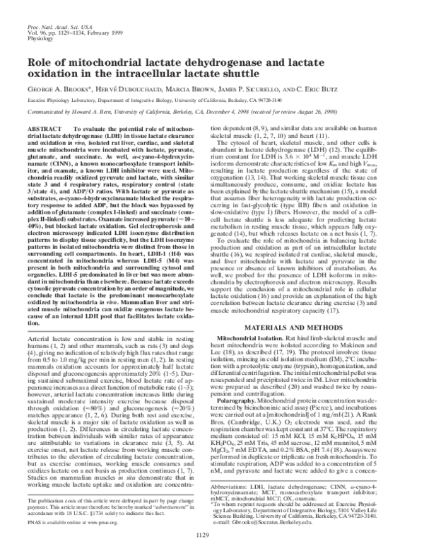 (PDF) Role of mitochondrial lactate dehydrogenase and lactate oxidation ...