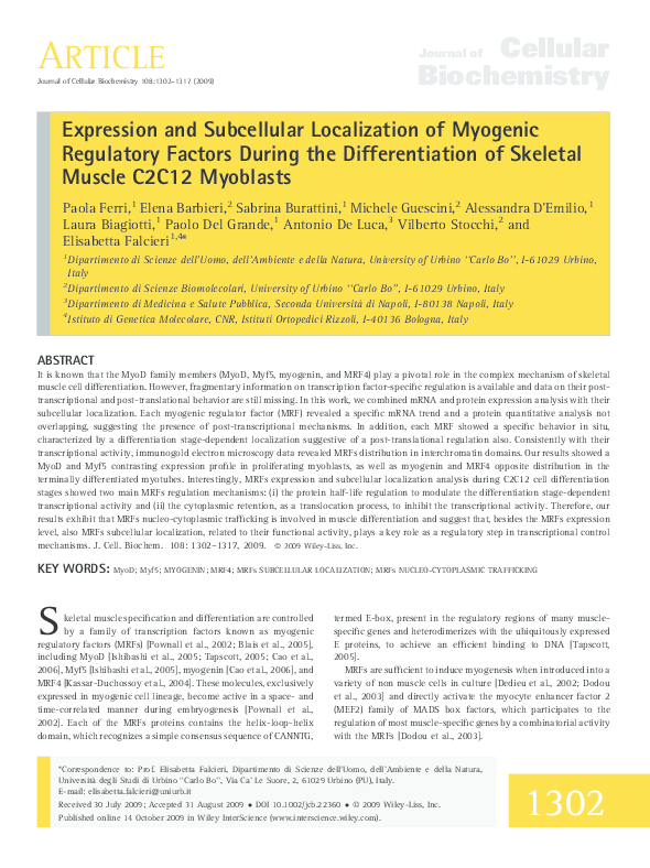 (PDF) Expression and subcellular localization of myogenic regulatory factors during the ...