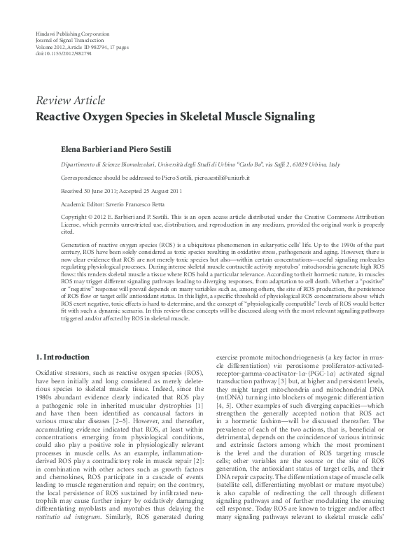 (PDF) Reactive Oxygen Species in Skeletal Muscle Signaling