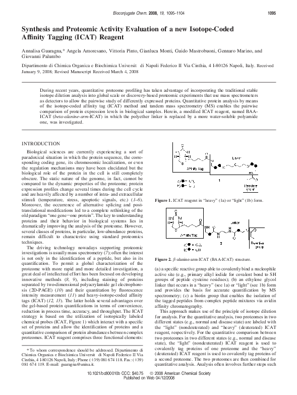 (PDF) Synthesis and Proteomic Activity Evaluation of a new Isotope ...