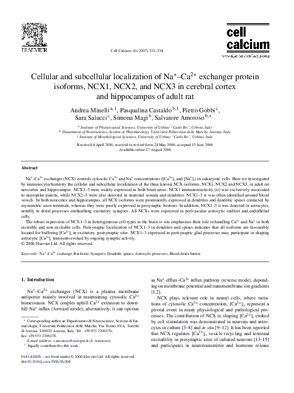 (PDF) Cellular and subcellular localization of Na+–Ca2+ exchanger ...