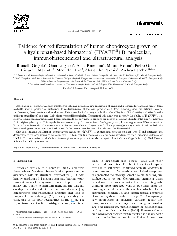 (PDF) Evidence for redifferentiation of human chondrocytes grown on a ...