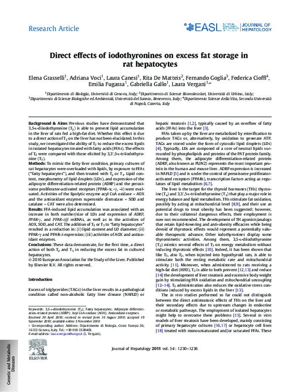 (PDF) Direct effects of iodothyronines on excess fat storage in rat ...