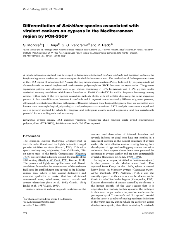 (PDF) Differentiation of Seiridium species associated with virulent ...