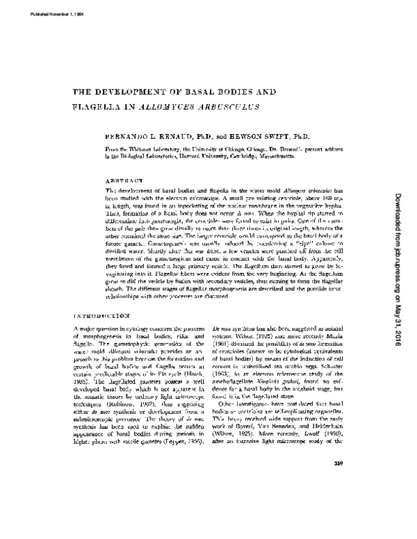 (PDF) The Development of Basal Bodies and Flagella in Allomyces Arbusculus