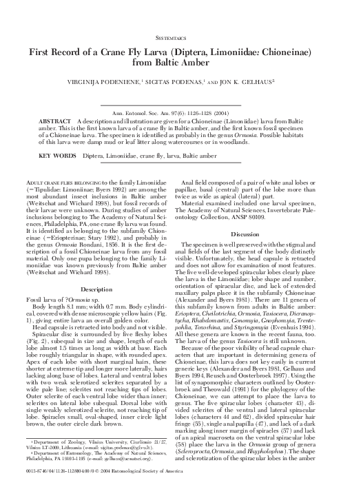 (PDF) First Record of a Crane Fly Larva (Diptera, Limoniidae ...