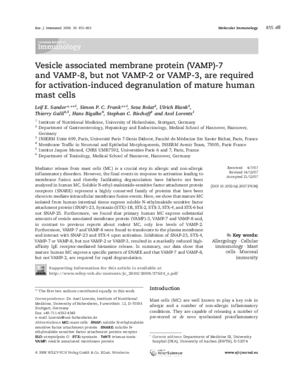 (PDF) Vesicle associated membrane protein (VAMP)-7 and VAMP-8, but not ...