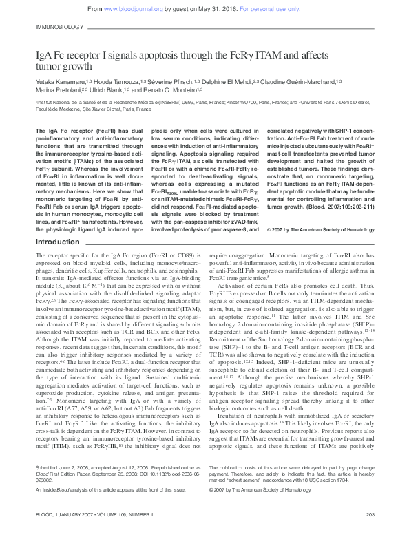 (PDF) IgA Fc receptor I signals apoptosis through the FcR ITAM and ...