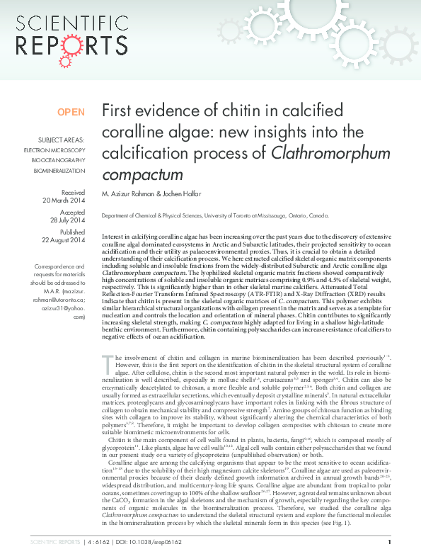 (PDF) First evidence of chitin in calcified coralline algae: new ...
