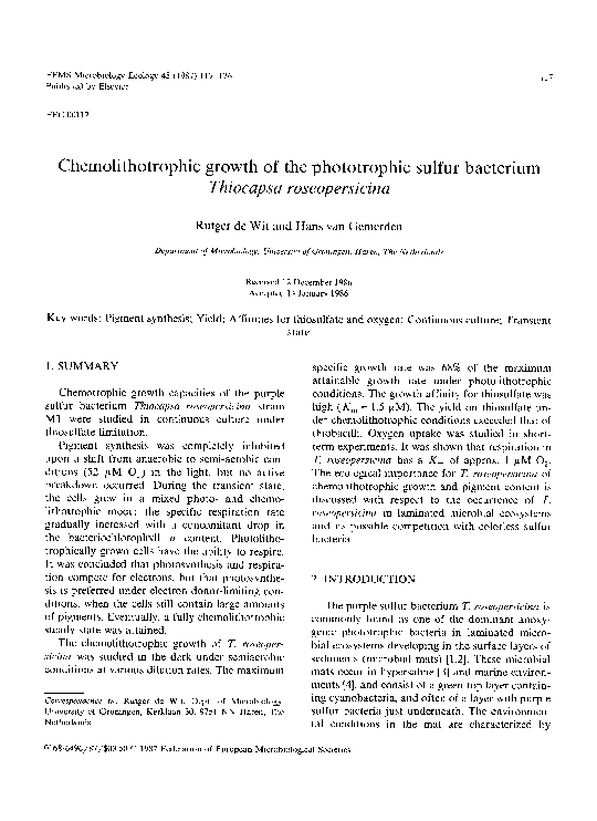 (PDF) Chemolithotrophic growth of the phototrophic sulfur bacterium ...