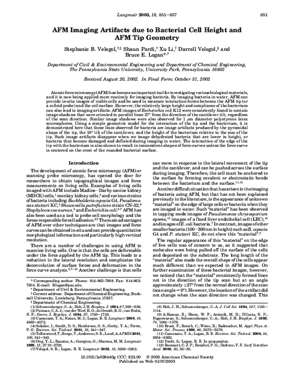 (PDF) AFM imaging artifacts due to bacterial cell height and AFM tip ...