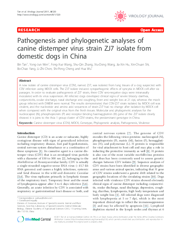 (PDF) Pathogenesis and phylogenetic analyses of canine distemper virus ...