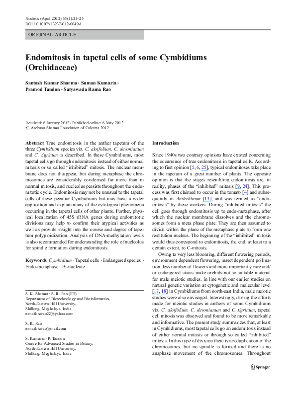 (PDF) Endomitosis in tapetal cells of some Cymbidiums (Orchidaceae)