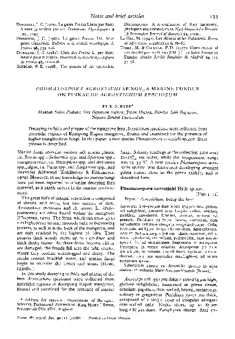 (PDF) Phomatospora acrostichi sp. nov., a marine fungus on pinnae of ...