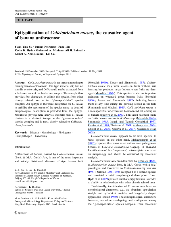 (PDF) Epitypification of Colletotrichum musae , the causative agent of ...