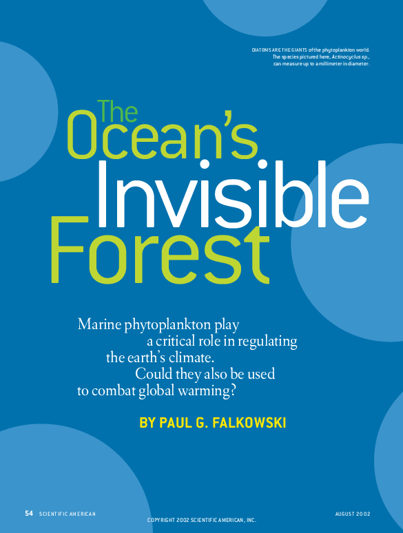 (PDF) The Ocean's Invisible Forest