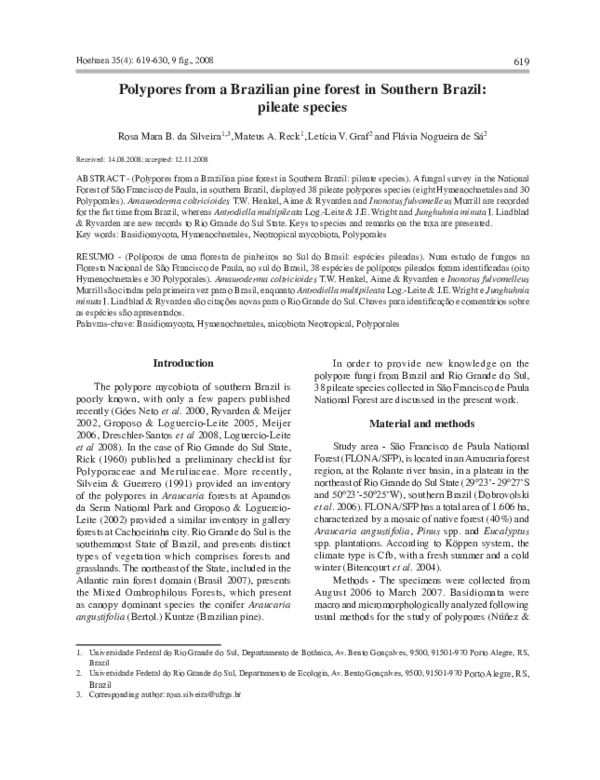 (PDF) Polypores from a Brazilian pine forest in Southern Brazil ...