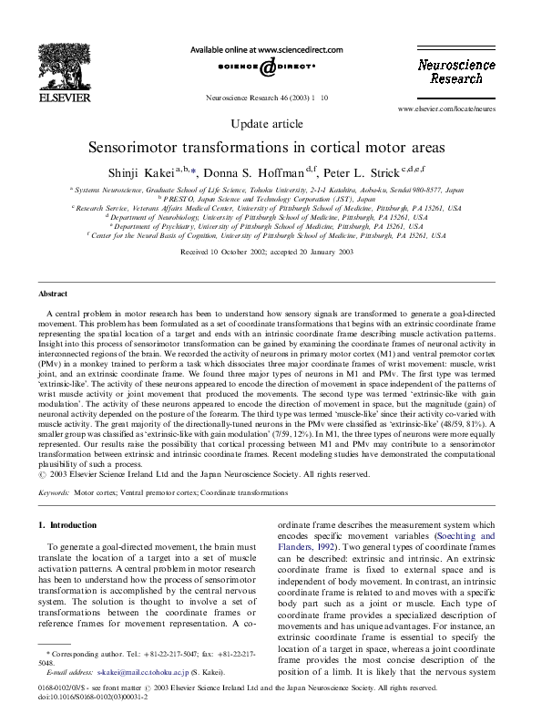 (PDF) Sensorimotor transformations in cortical motor areas | Peter Strick - Academia.edu