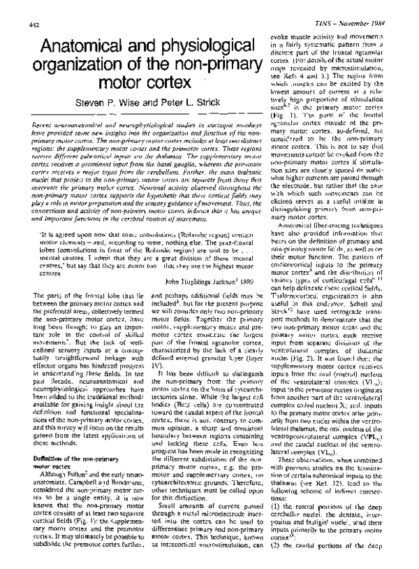 (PDF) Anatomical and physiological organization of the non-primary ...