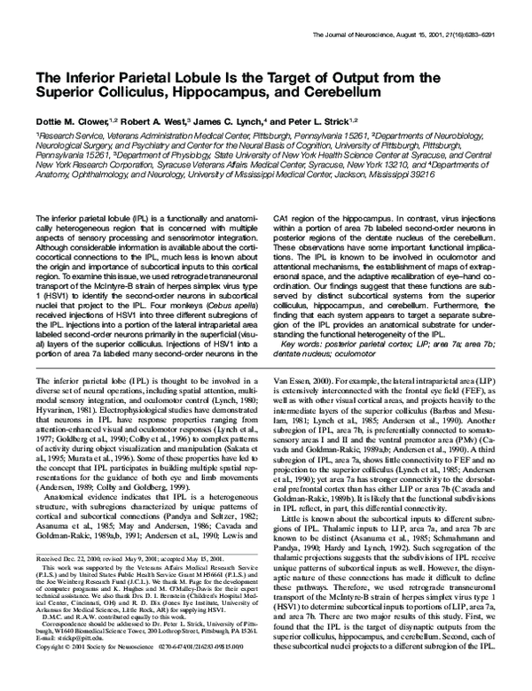 (PDF) The inferior parietal lobule is the target of output from the ...
