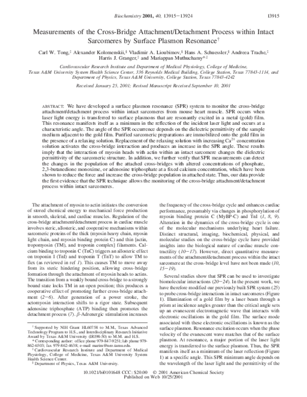(PDF) Measurements of the Cross-Bridge Attachment/Detachment Process ...